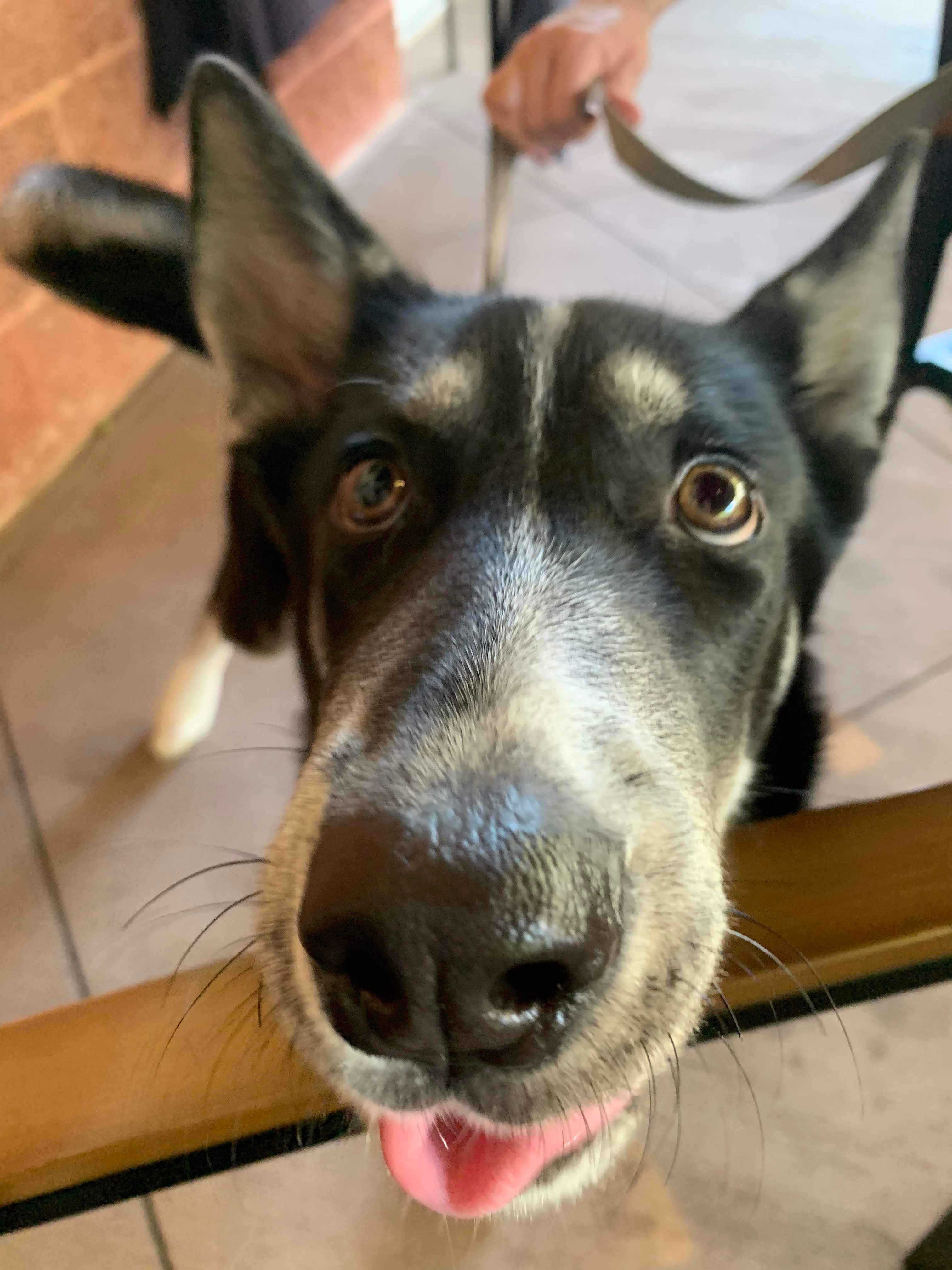 Cameron Gaskill | Junior Software Dev | Portfolio